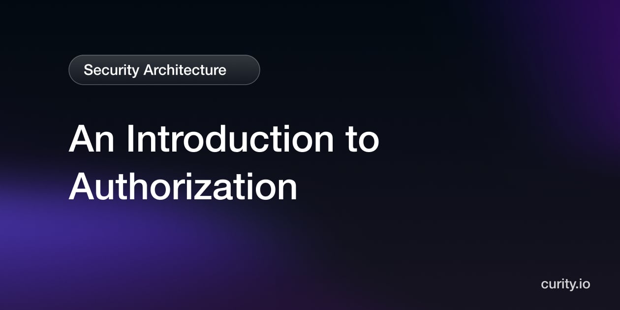 Introduction to Authorization | Curity